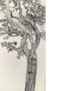 Liu-Dan - LA Art Show